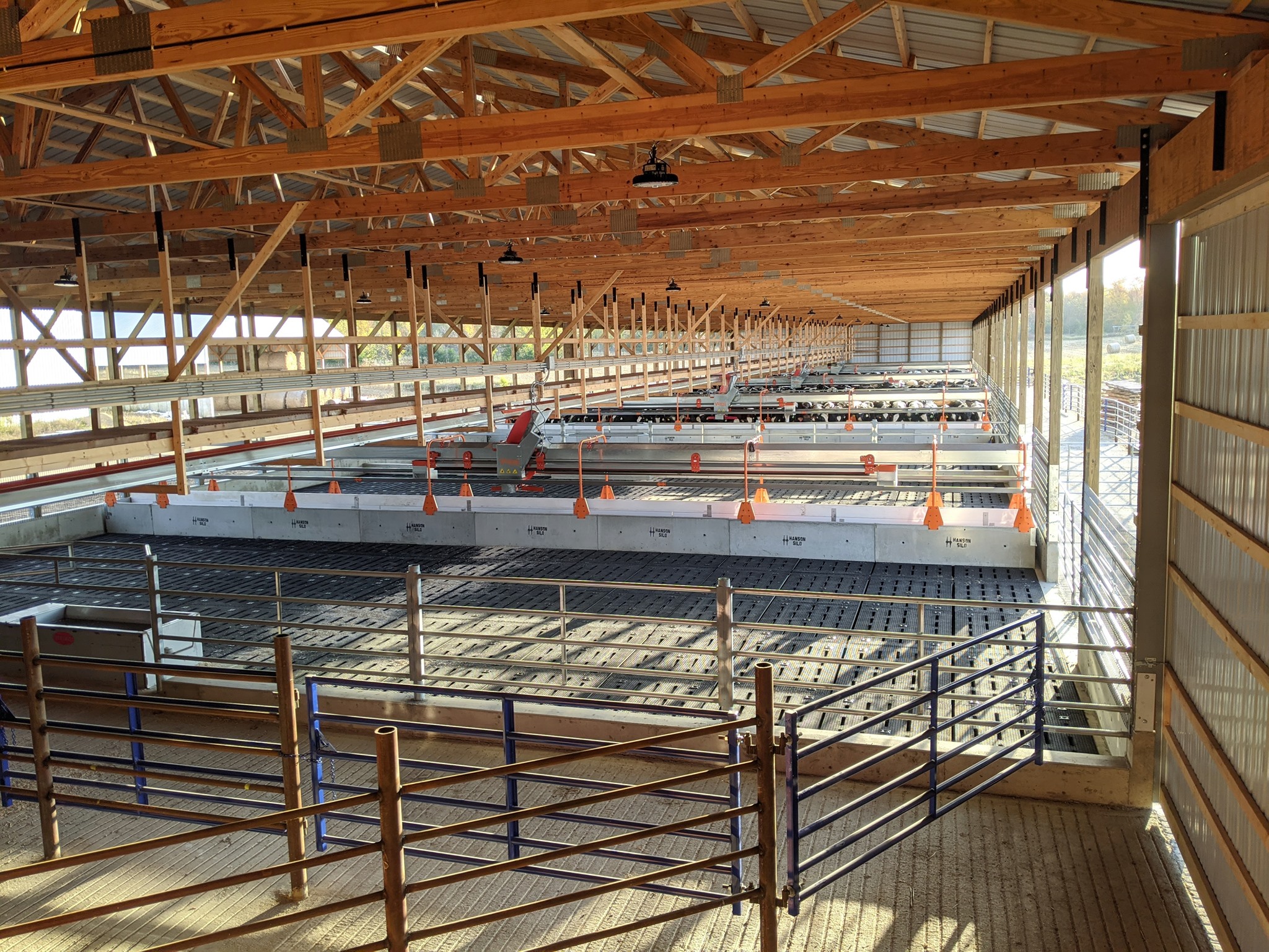 Saving time at Brandon Dingmann Steer Barn